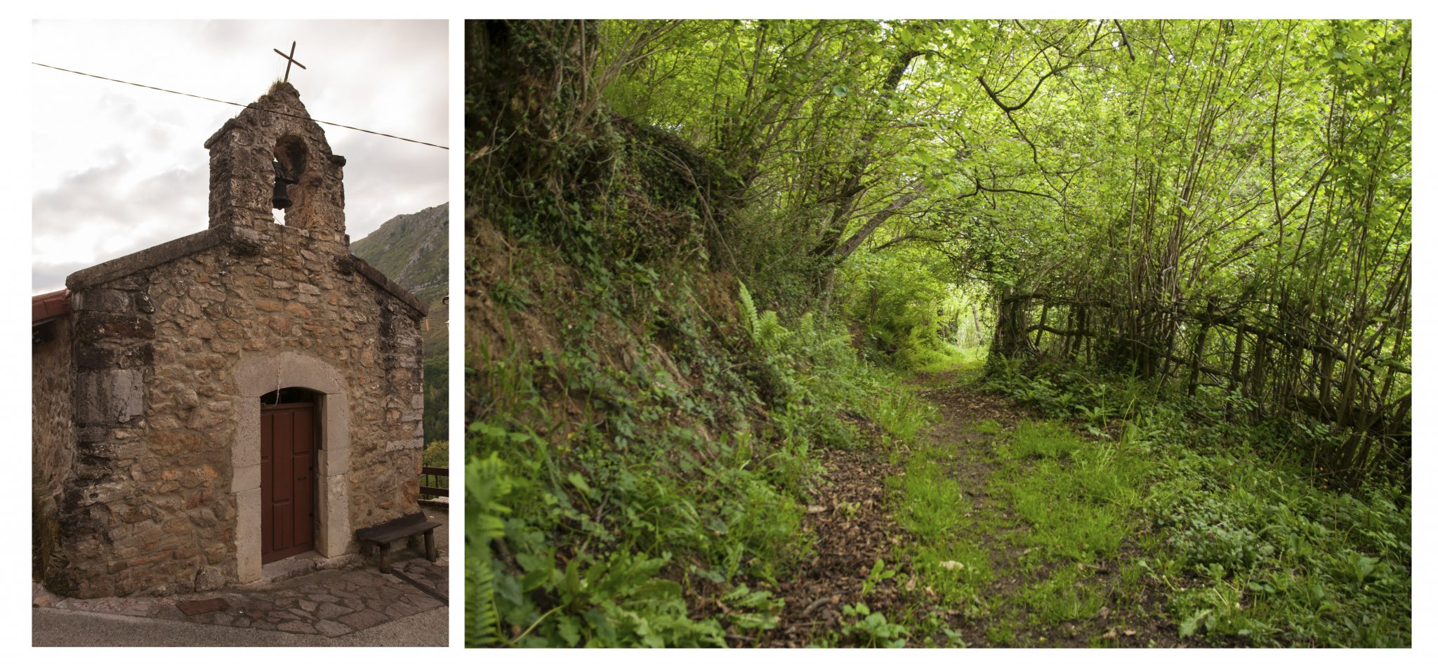 Asturias, un lugar al que siempre volver – De patitas en el mundo