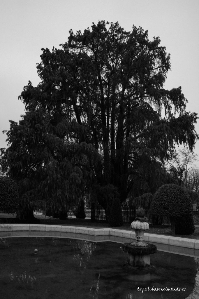 Un paseo por el Parque del Retiro de Madrid – De patitas en el mundo